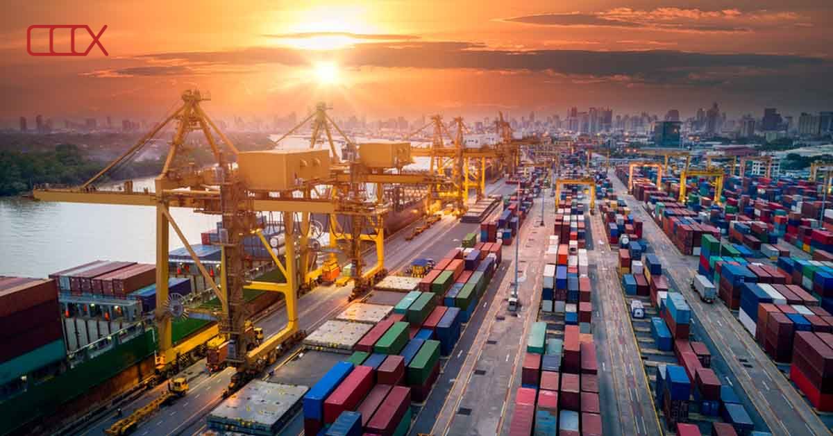 L’Importanza di SAP Business Network per la supply chain - Clarex